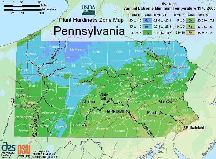 What Growing Zone Is Pennsylvania In What Growing Zone Is Pennsylvania In